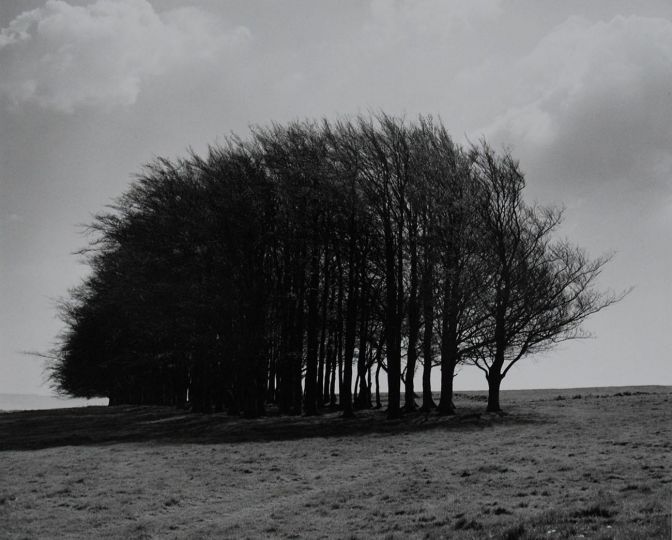 Fay Godwin, bajo los cielos turbulentos de la campiña inglesa - LIBROS ...