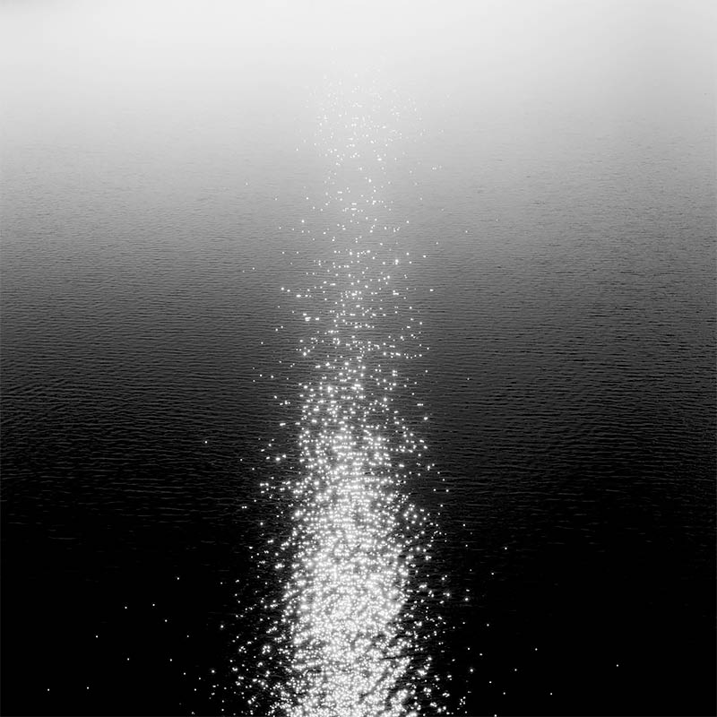 Jeffrey Conley, asombro y reverencia frente a la naturaleza - LIBROS ...